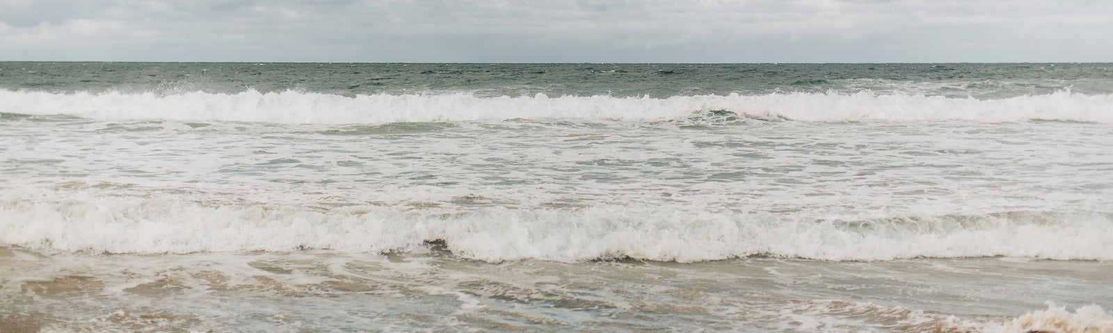 Contact – Wild Shore